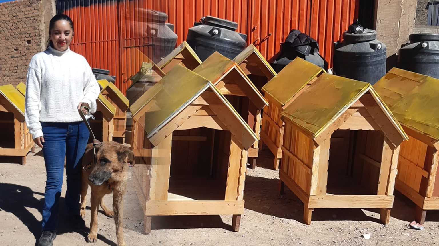 Entregan casitas para perritos al refugio Casa de Asís